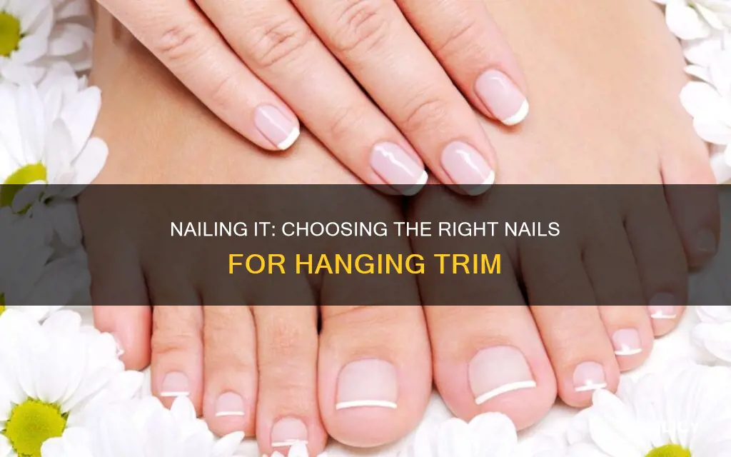 Nailing It: Choosing The Right Nails For Hanging Trim | Nailicy