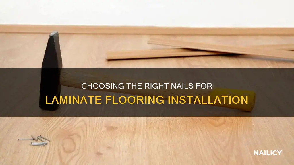 Choosing The Right Nails For Laminate Flooring Installation | Nailicy