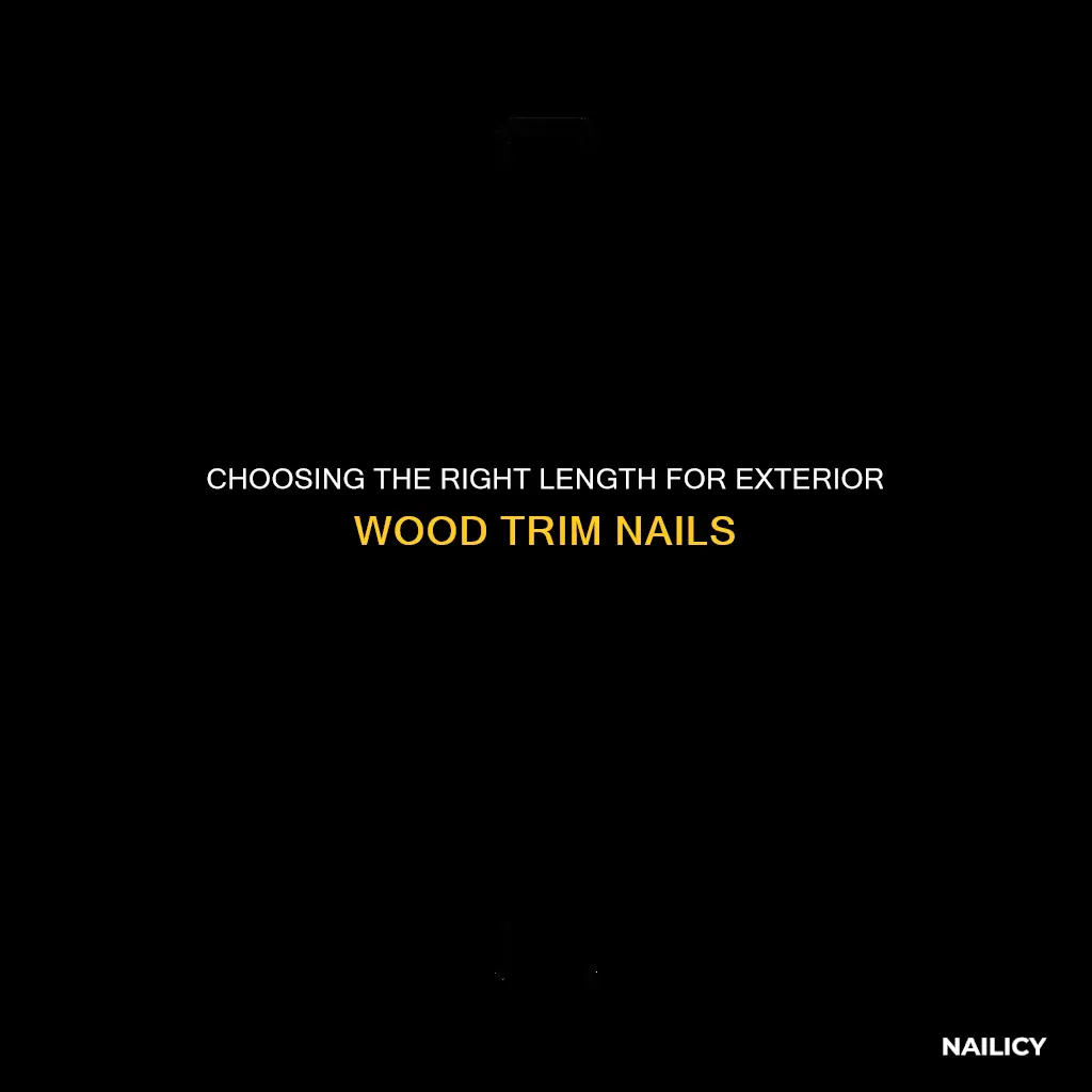 Choosing The Right Length For Exterior Wood Trim Nails | Nailicy