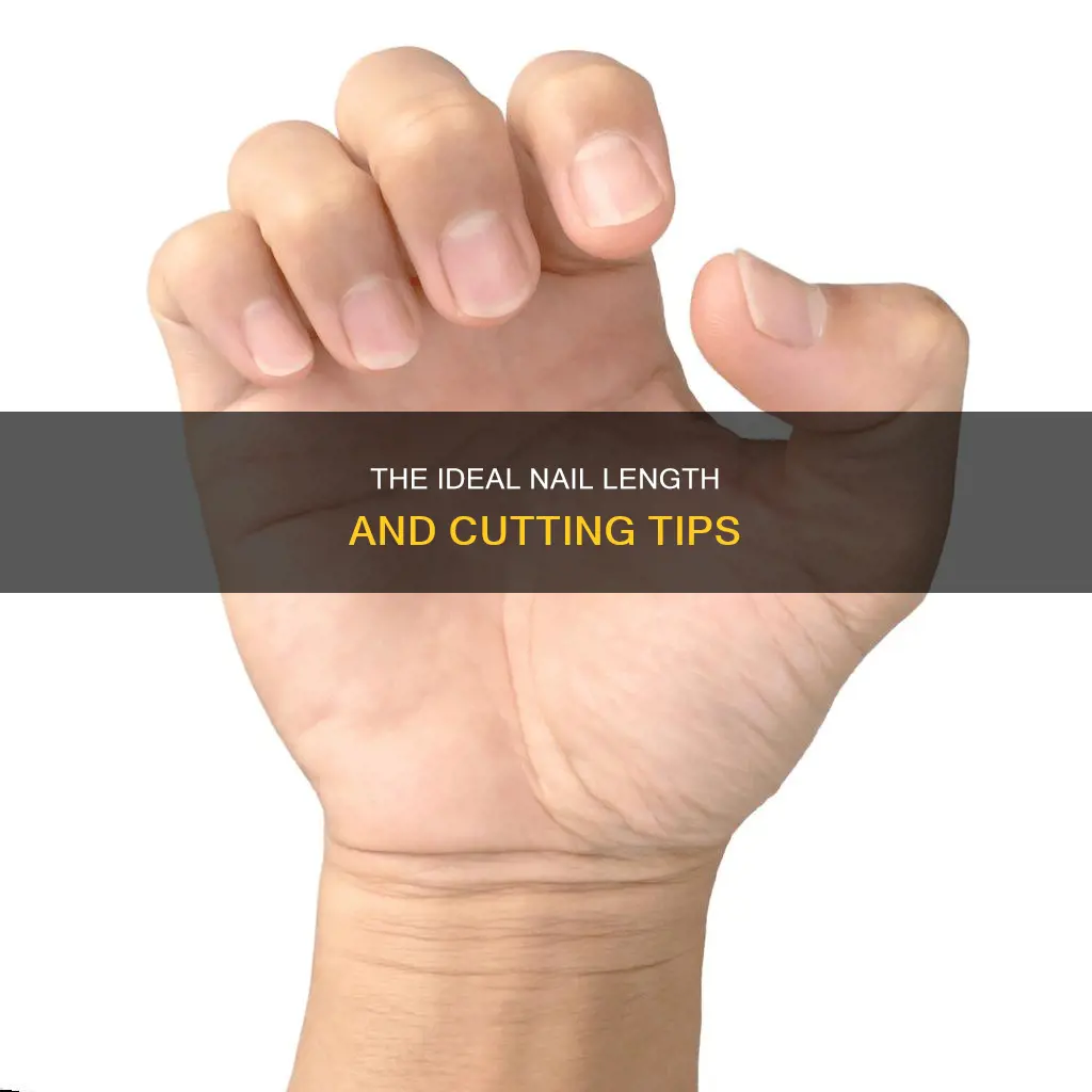 The Ideal Nail Length And Cutting Tips | Nailicy