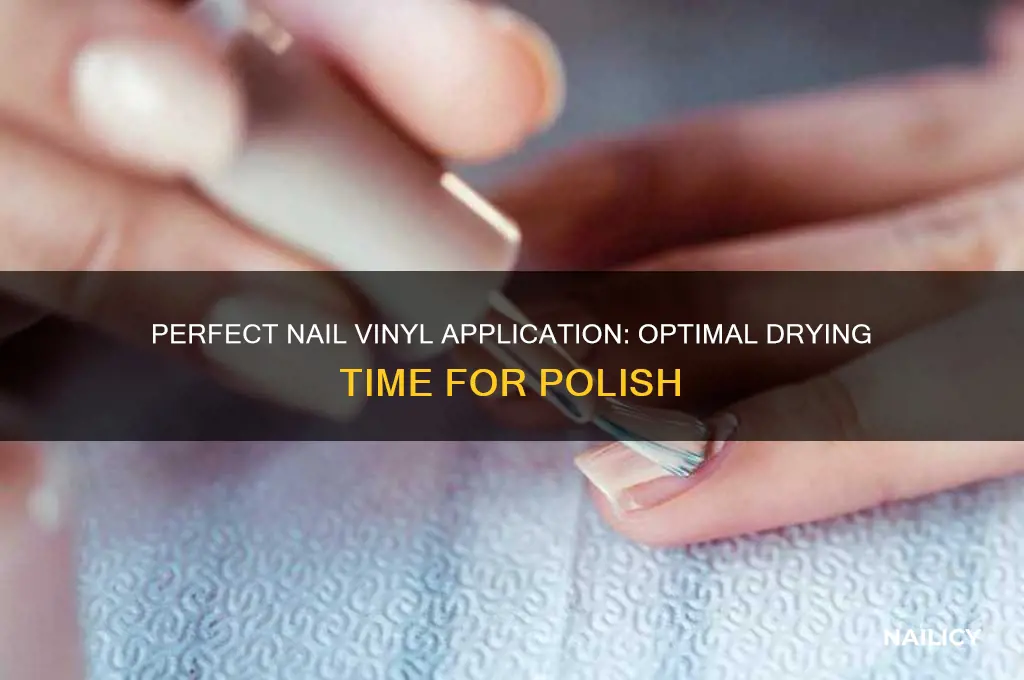 Perfect Nail Vinyl Application: Optimal Drying Time For Polish | Nailicy