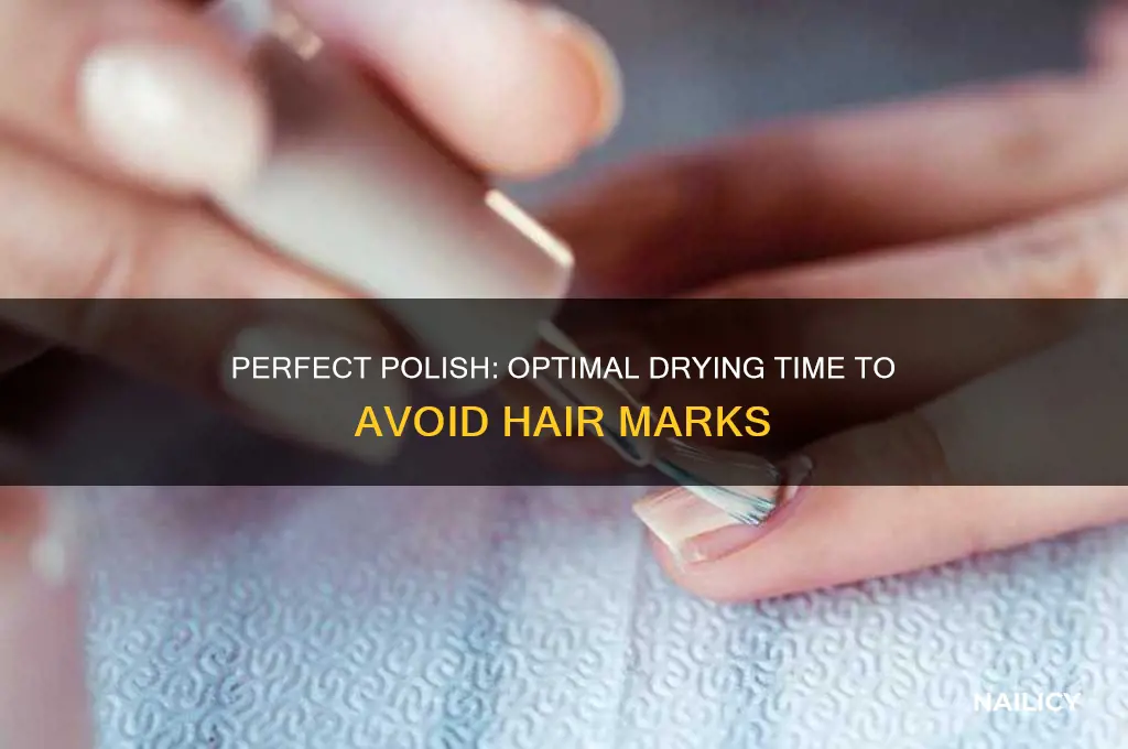 Perfect Polish: Optimal Drying Time To Avoid Hair Marks | Nailicy