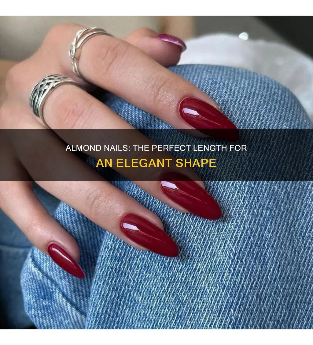Almond Nails: The Perfect Length For An Elegant Shape | Nailicy