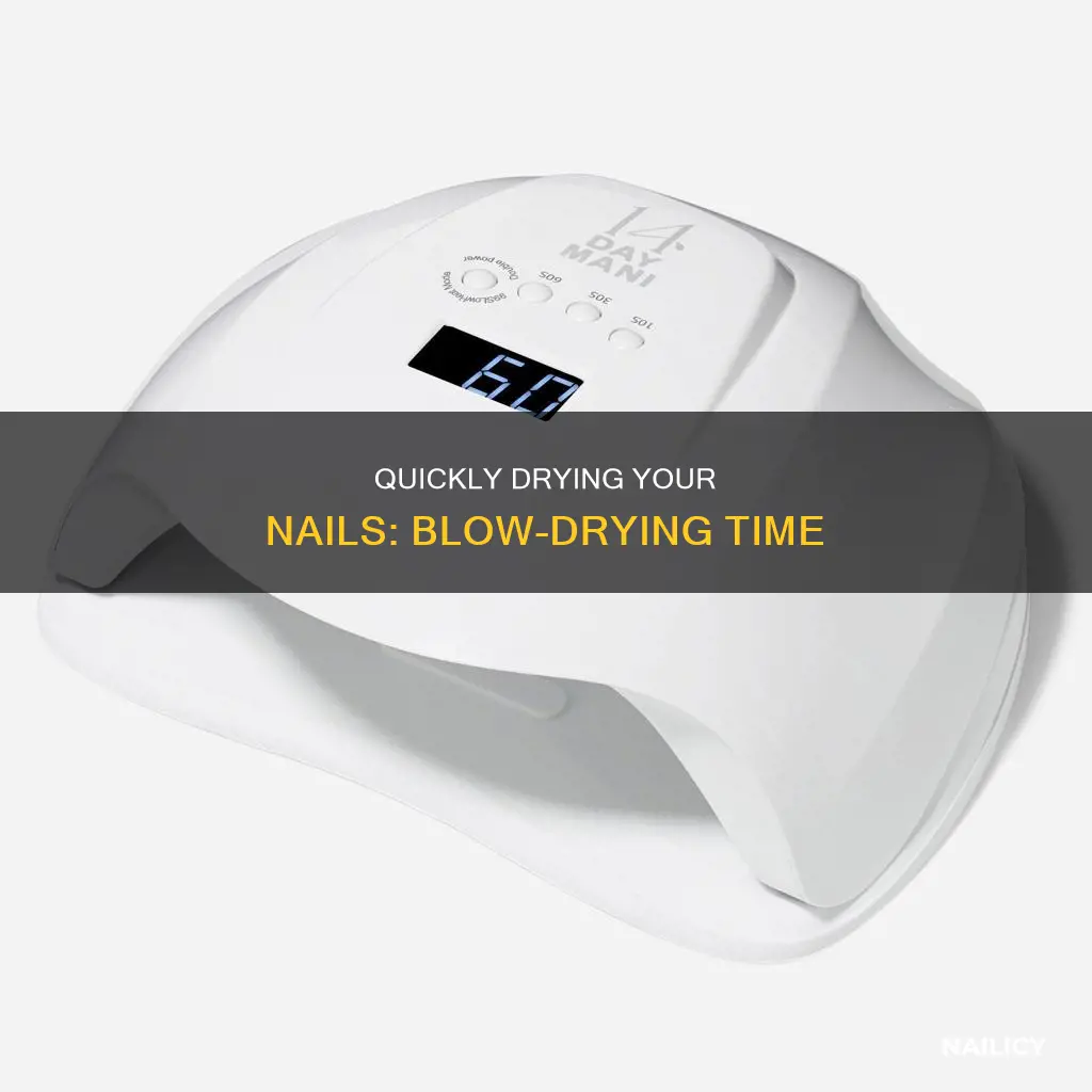 Quickly Drying Your Nails: Blow-Drying Time | Nailicy