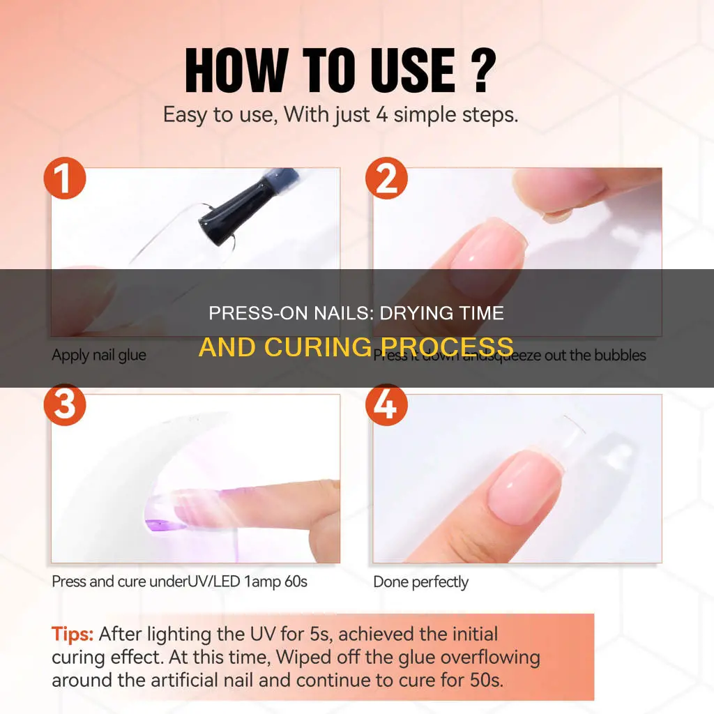 Press-On Nails: Drying Time And Curing Process | Nailicy