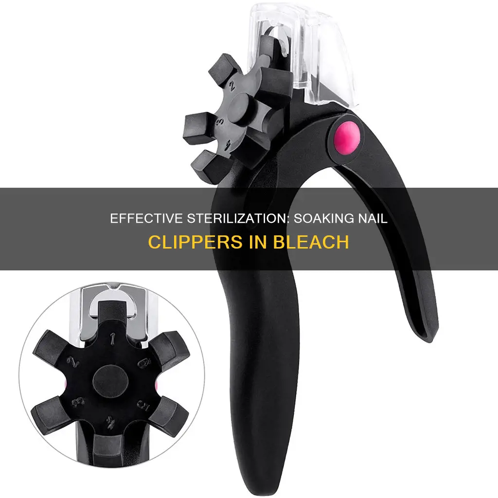 Effective Sterilization: Soaking Nail Clippers In Bleach | Nailicy