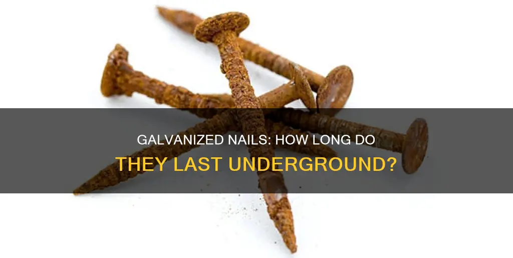 Galvanized Nails: How Long Do They Last Underground? | Nailicy