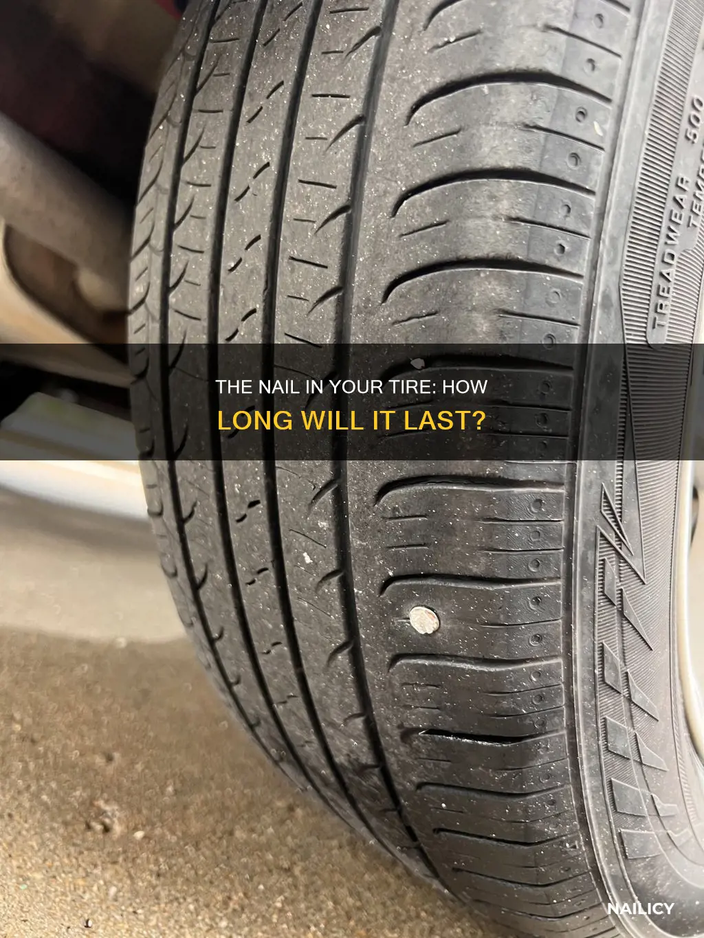 The Nail In Your Tire: How Long Will It Last? | Nailicy