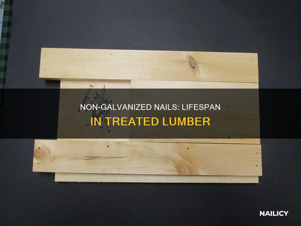 Non-Galvanized Nails: Lifespan In Treated Lumber | Nailicy