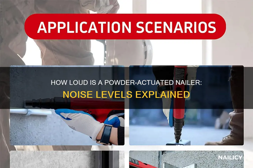 How Loud Is A Powder-Actuated Nailer: Noise Levels Explained | Nailicy