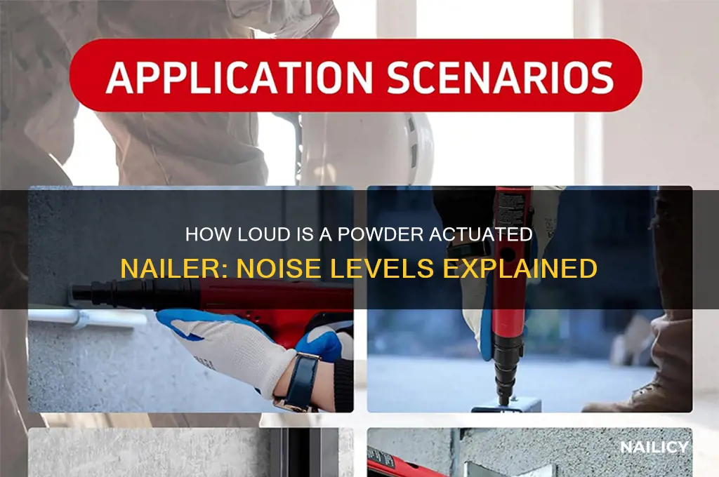 How Loud Is A Powder Actuated Nailer: Noise Levels Explained | Nailicy