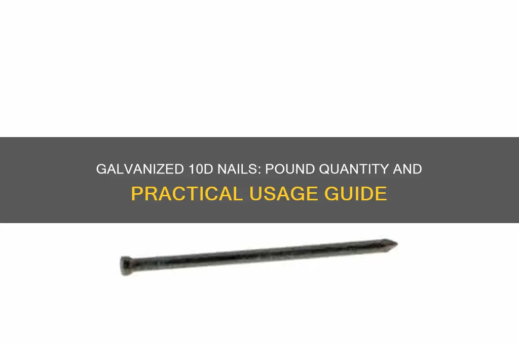 Galvanized 10D Nails: Pound Quantity And Practical Usage Guide | Nailicy