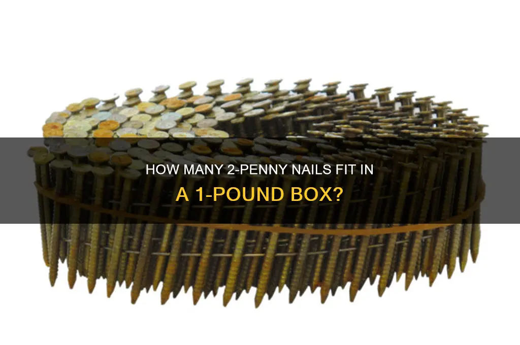 How Many 2-Penny Nails Fit In A 1-Pound Box? | Nailicy