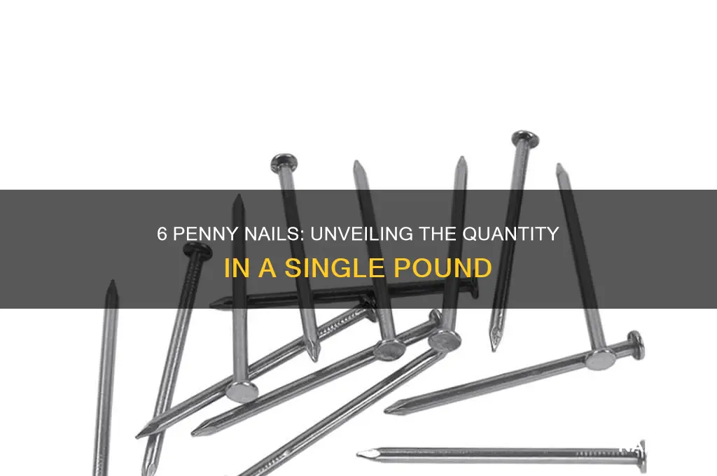6 Penny Nails: Unveiling The Quantity In A Single Pound | Nailicy