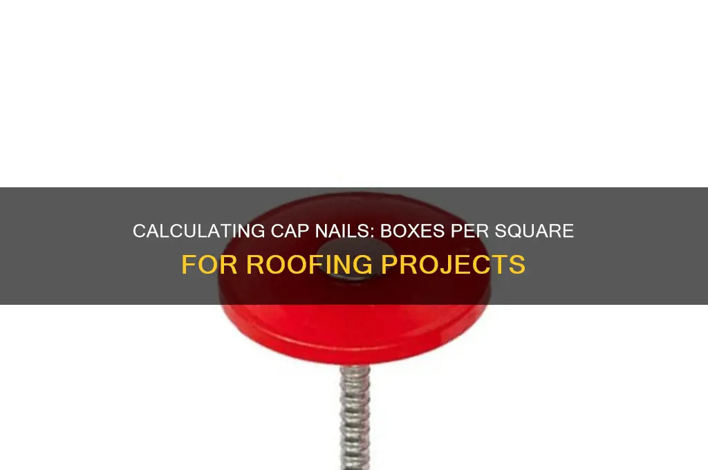 Calculating Cap Nails: Boxes Per Square For Roofing Projects | Nailicy