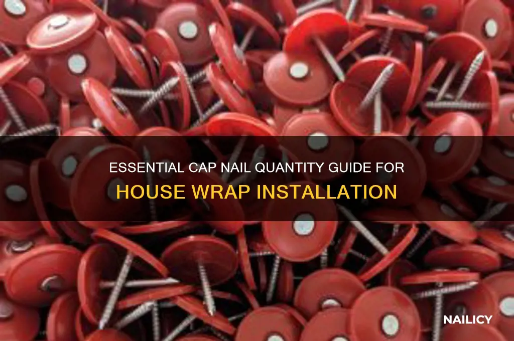 Essential Cap Nail Quantity Guide For House Wrap Installation | Nailicy