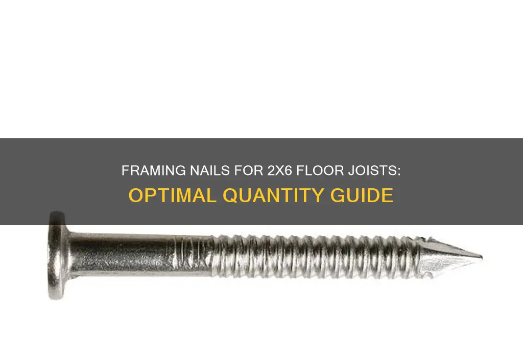 Framing Nails For 2X6 Floor Joists: Optimal Quantity Guide | Nailicy