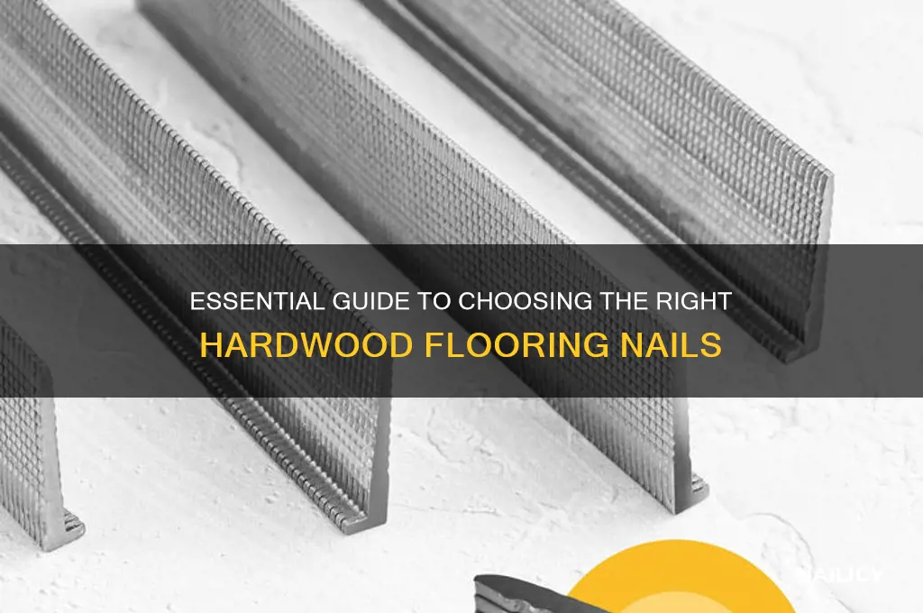 Essential Guide To Choosing The Right Hardwood Flooring Nails | Nailicy