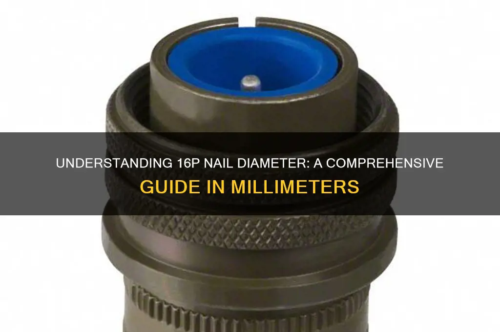 Understanding 16P Nail Diameter: A Comprehensive Guide In Millimeters ...