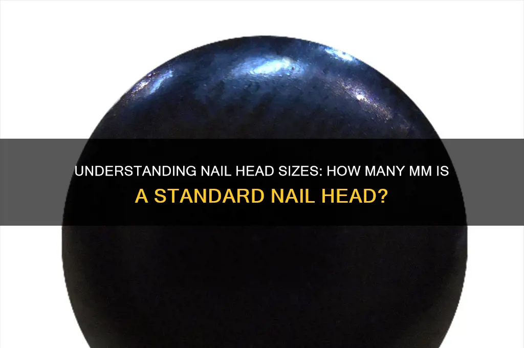 Understanding Nail Head Sizes: How Many Mm Is A Standard Nail Head ...