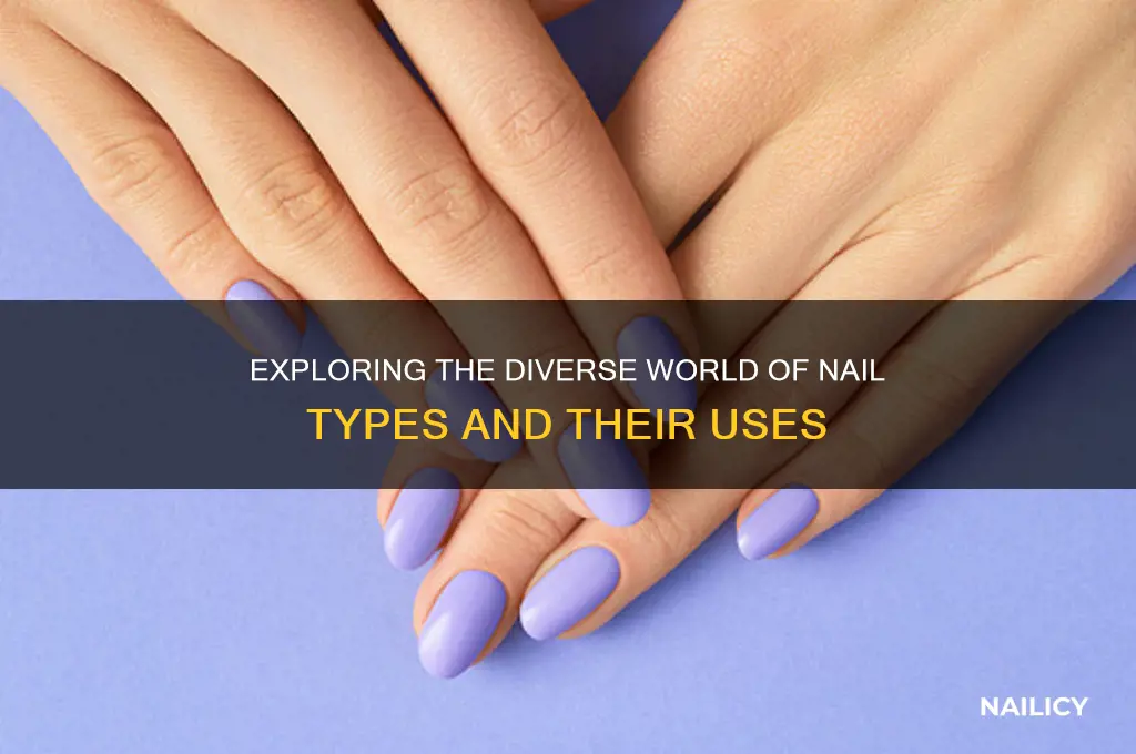 Exploring The Diverse World Of Nail Types And Their Uses | Nailicy