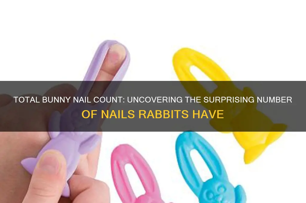 Total Bunny Nail Count: Uncovering The Surprising Number Of Nails ...