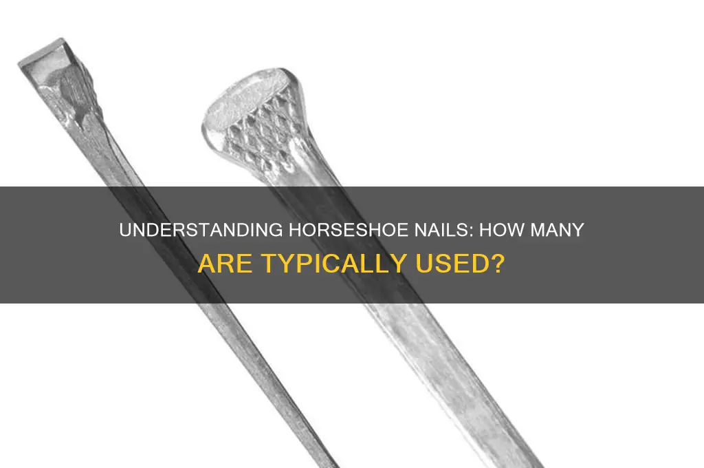 Understanding Horseshoe Nails: How Many Are Typically Used? | Nailicy
