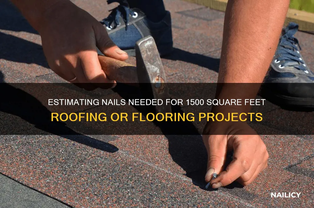 Estimating Nails Needed For 1500 Square Feet Roofing Or Flooring ...