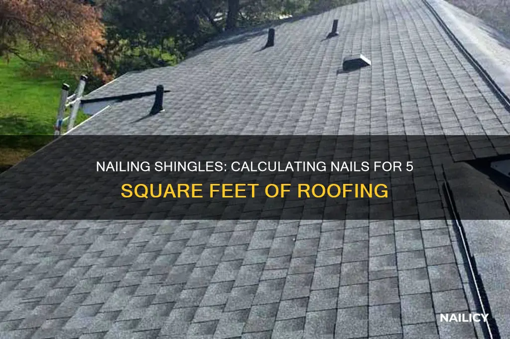 Nailing Shingles: Calculating Nails For 5 Square Feet Of Roofing | Nailicy