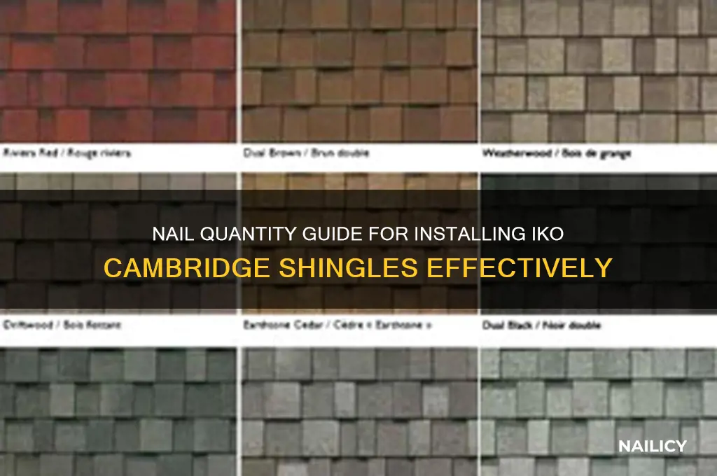 Nail Quantity Guide For Installing Iko Cambridge Shingles Effectively ...
