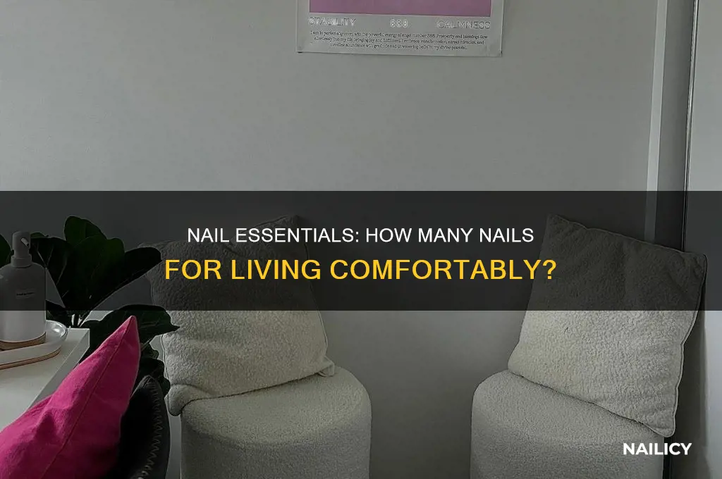Nail Essentials: How Many Nails For Living Comfortably? | Nailicy