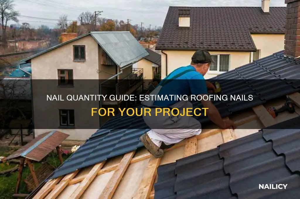Nail Quantity Guide: Estimating Roofing Nails For Your Project | Nailicy