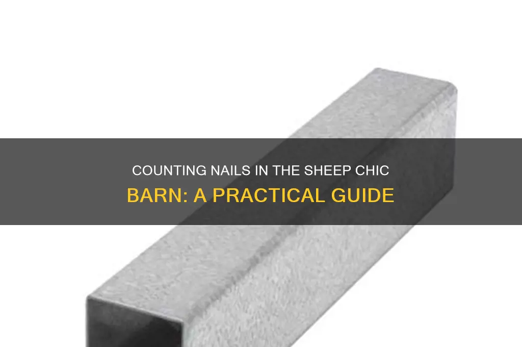 Counting Nails In The Sheep Chic Barn: A Practical Guide | Nailicy