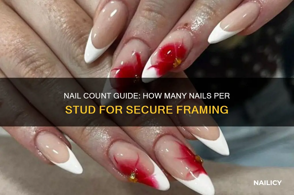 Nail Count Guide: How Many Nails Per Stud For Secure Framing | Nailicy