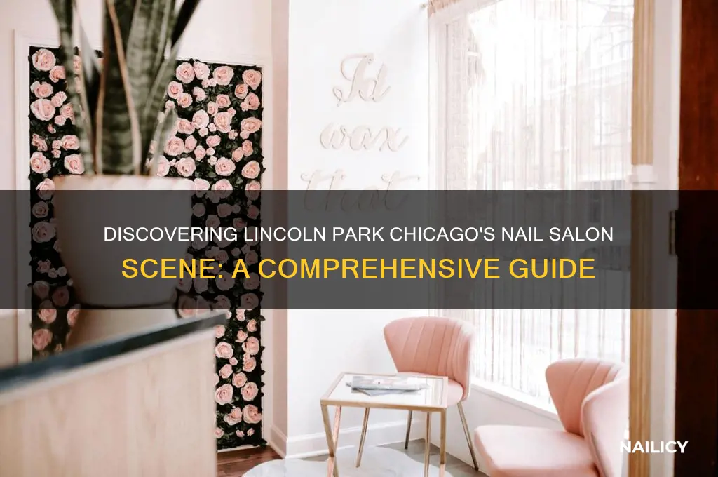 Discovering Lincoln Park Chicago's Nail Salon Scene: A Comprehensive ...