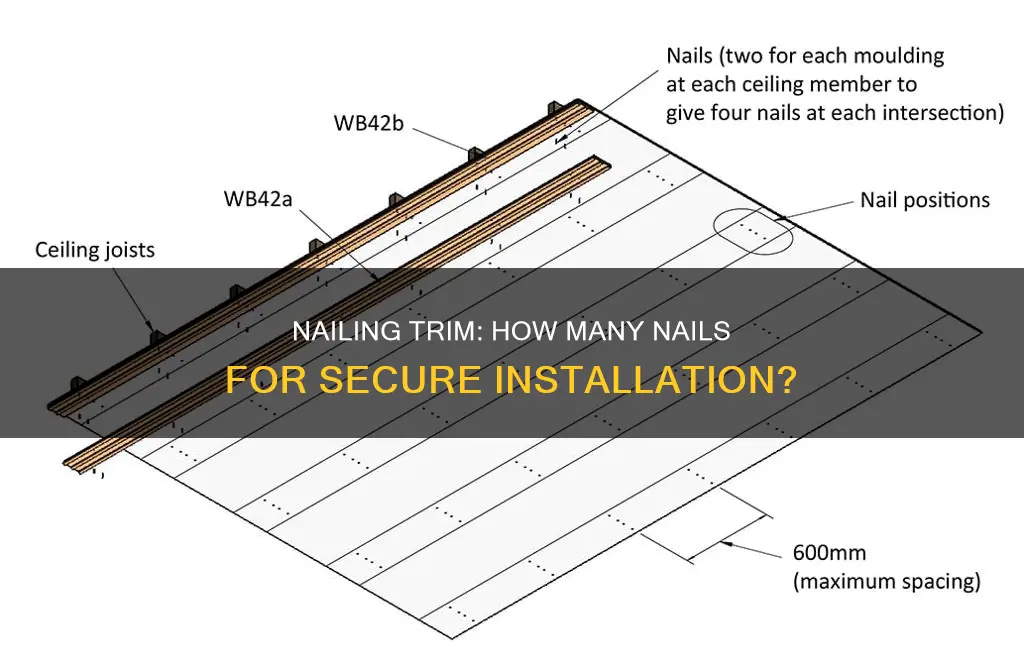 Nailing Trim: How Many Nails For Secure Installation? | Nailicy