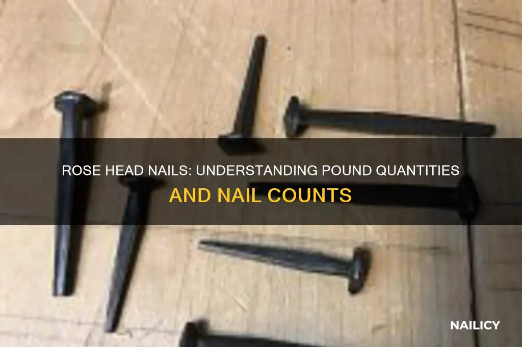 Rose Head Nails: Understanding Pound Quantities And Nail Counts | Nailicy