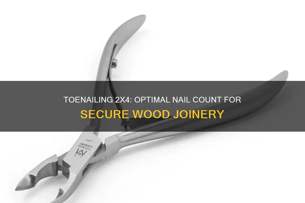 Toenailing 2X4: Optimal Nail Count For Secure Wood Joinery | Nailicy