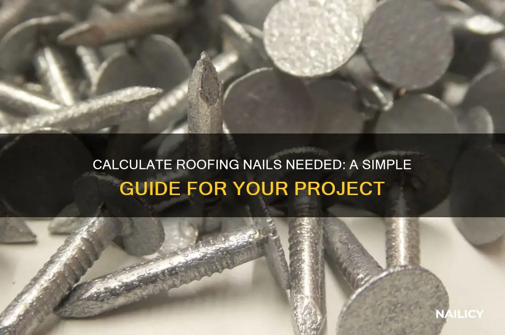 Calculate Roofing Nails Needed: A Simple Guide For Your Project | Nailicy