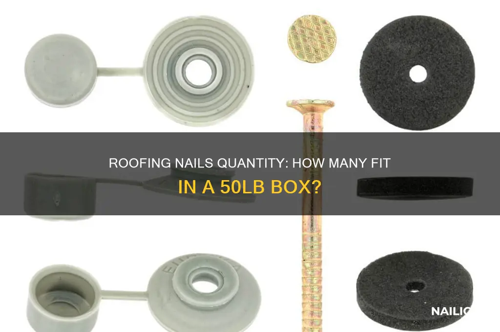 Roofing Nails Quantity: How Many Fit In A 50Lb Box? | Nailicy