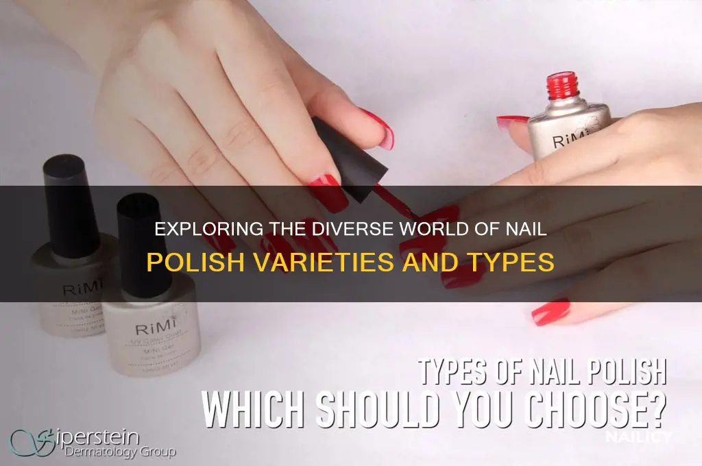 Exploring The Diverse World Of Nail Polish Varieties And Types | Nailicy