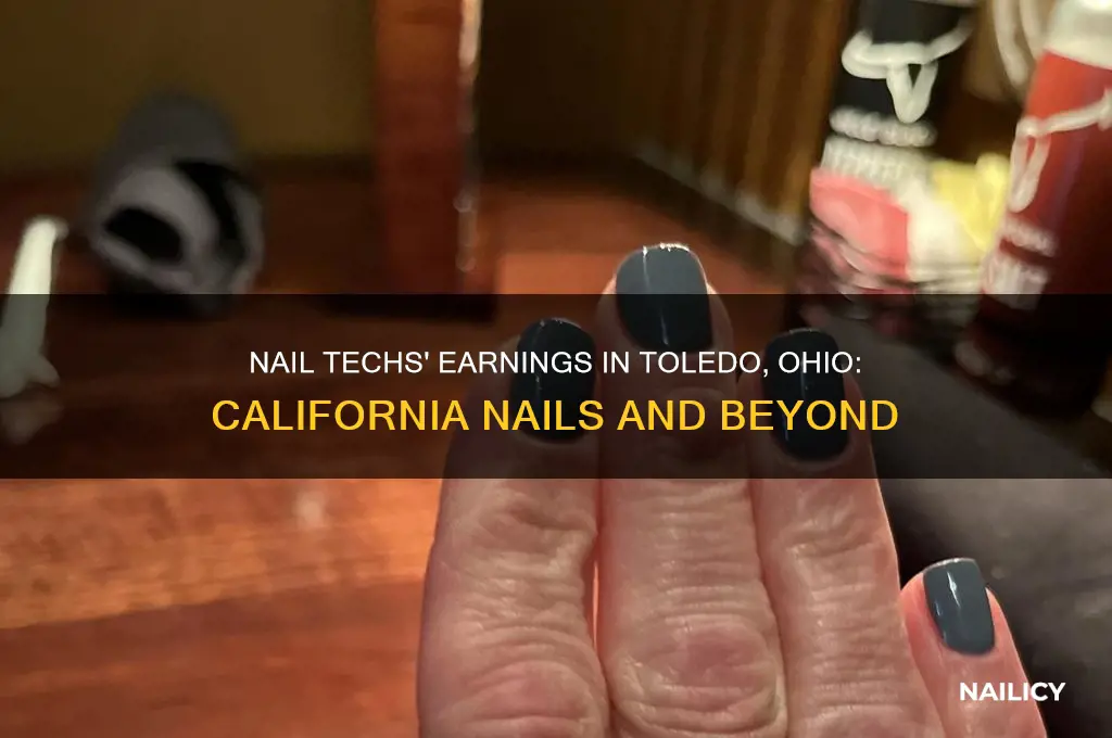 Nail Techs' Earnings In Toledo, Ohio: California Nails And Beyond | Nailicy