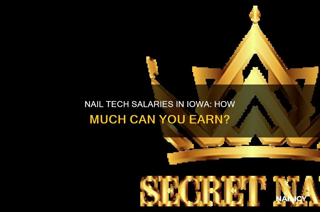 Nail Tech Salaries In Iowa: How Much Can You Earn? | Nailicy