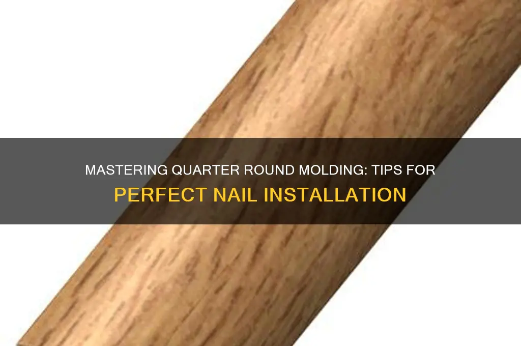 Mastering Quarter Round Molding: Tips For Perfect Nail Installation ...