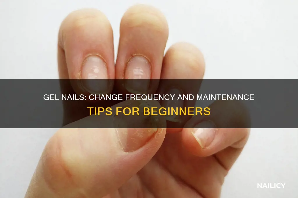 Gel Nails: Change Frequency And Maintenance Tips For Beginners | Nailicy