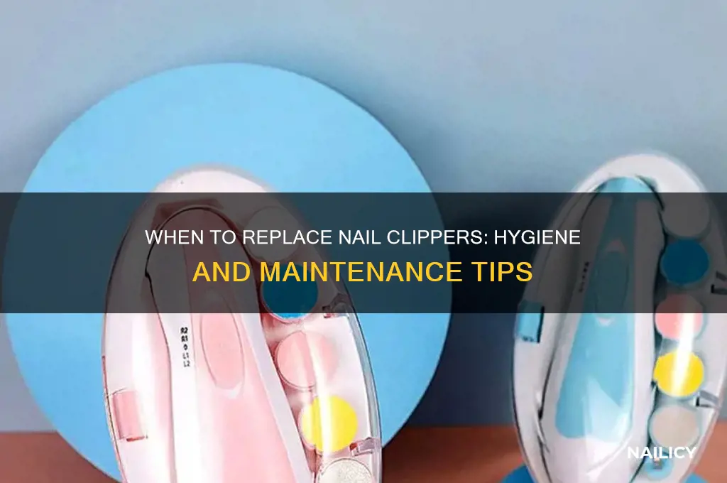 When To Replace Nail Clippers: Hygiene And Maintenance Tips | Nailicy