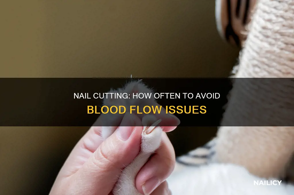 Nail Cutting: How Often To Avoid Blood Flow Issues | Nailicy