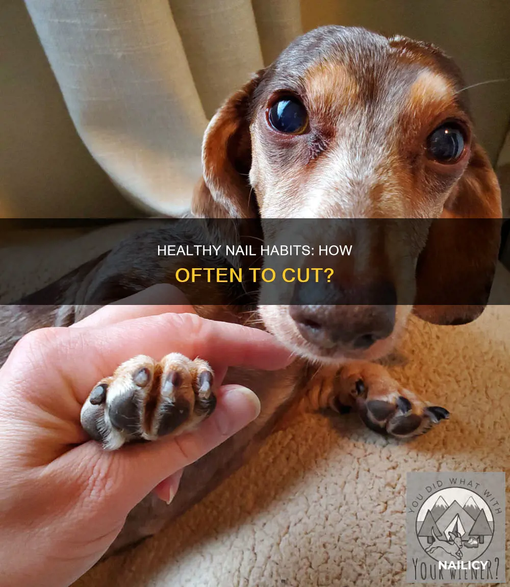 Healthy Nail Habits: How Often To Cut? | Nailicy