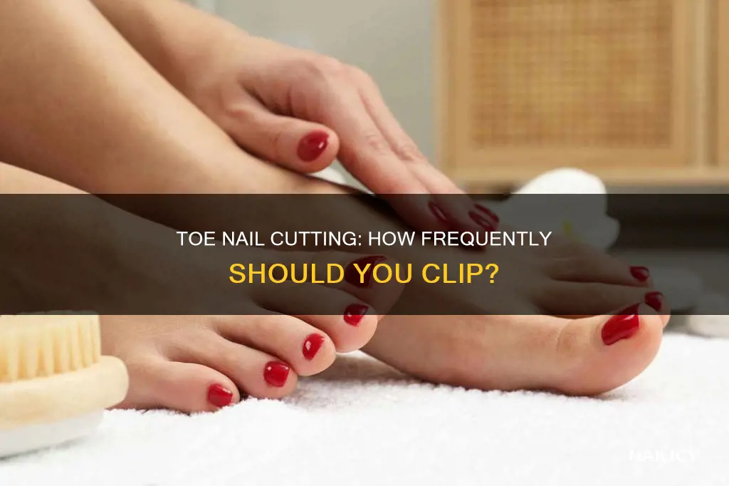 Toe Nail Cutting: How Frequently Should You Clip? | Nailicy