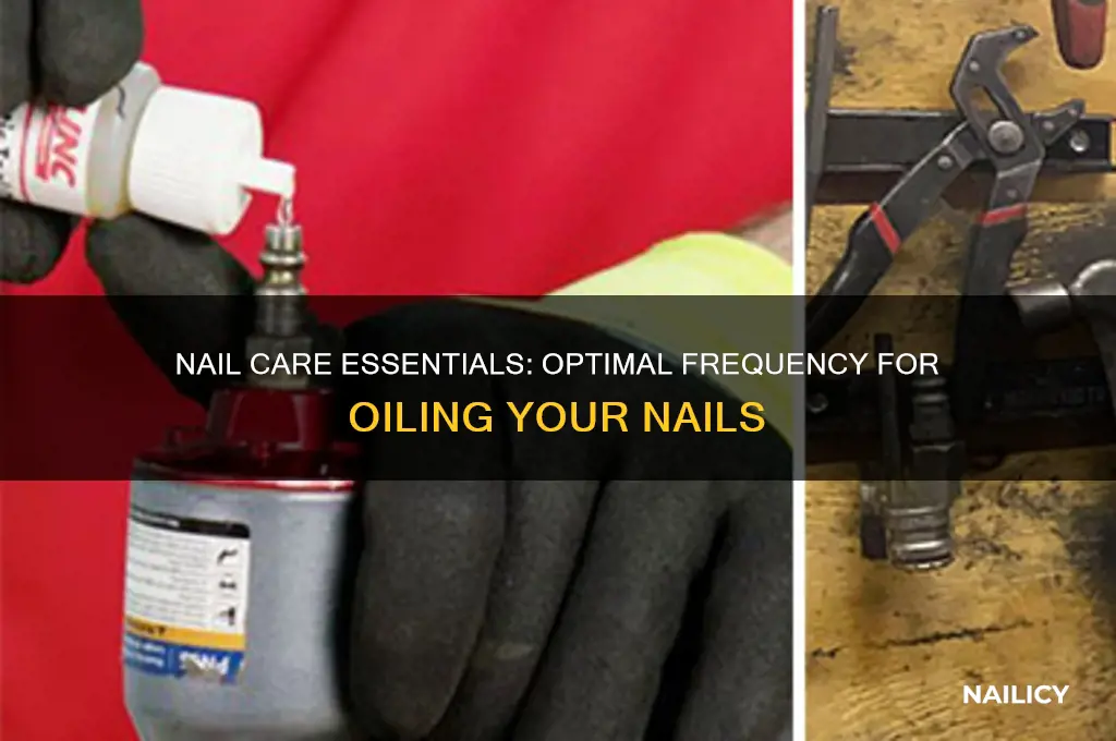Nail Care Essentials: Optimal Frequency For Oiling Your Nails | Nailicy